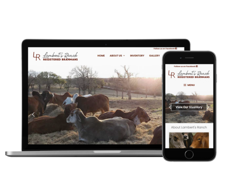 Web Design Portfolio - Local Leap Marketing - Our Web & SEO Clients